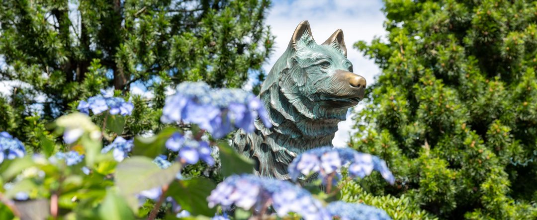 University of Connecticut