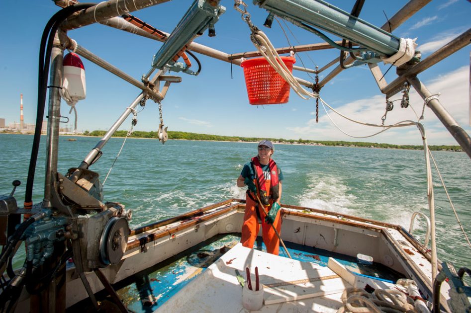 Tuition and Costs | University of Connecticut