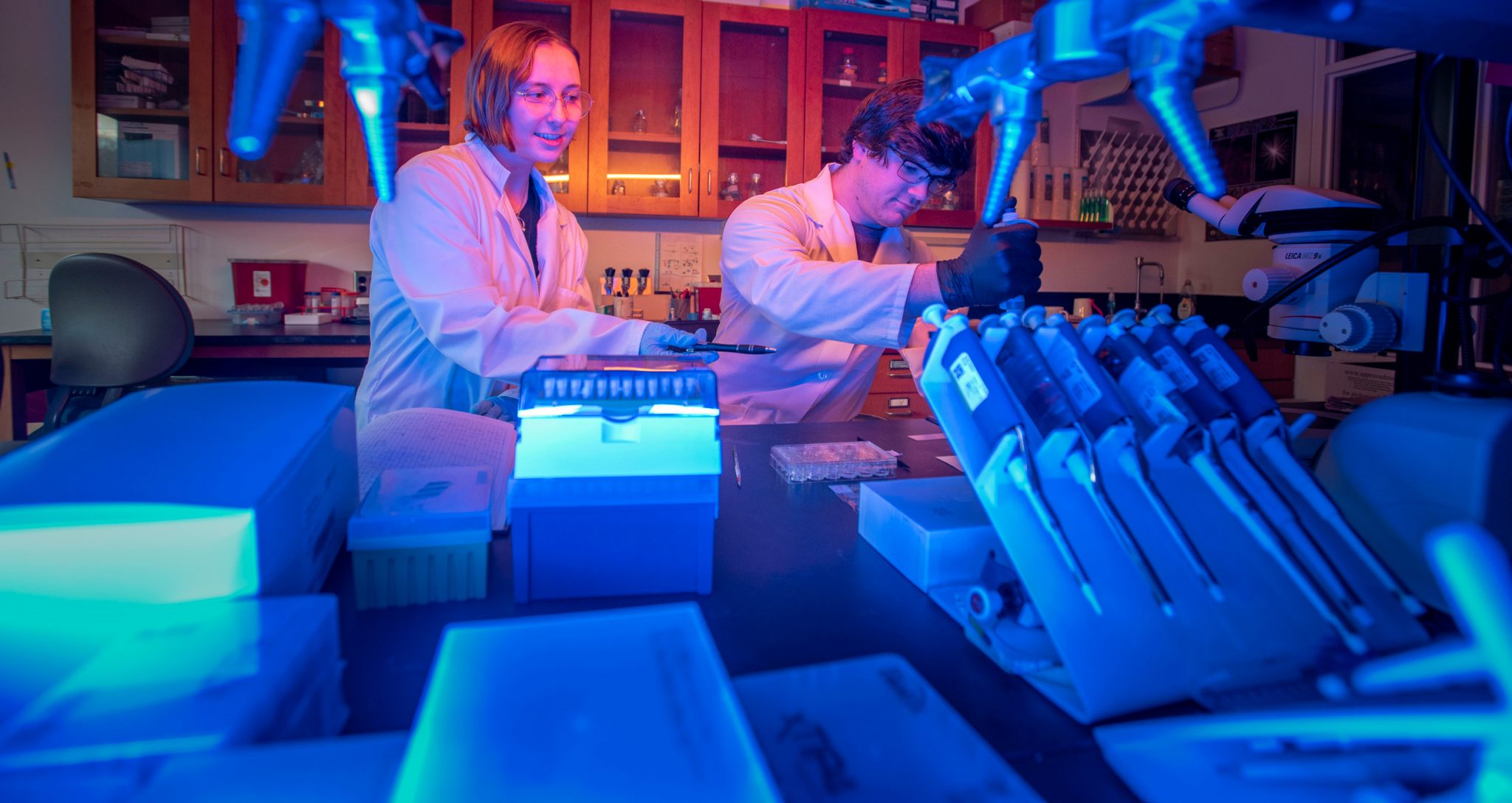 University of Connecticut